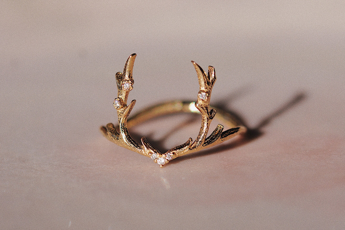 Guardian Ring – Sofia Zakia